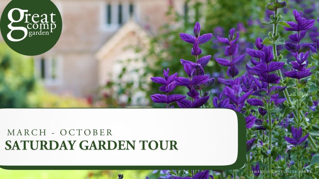 Guided Garden Tours, March – Oct – Great Comp Garden